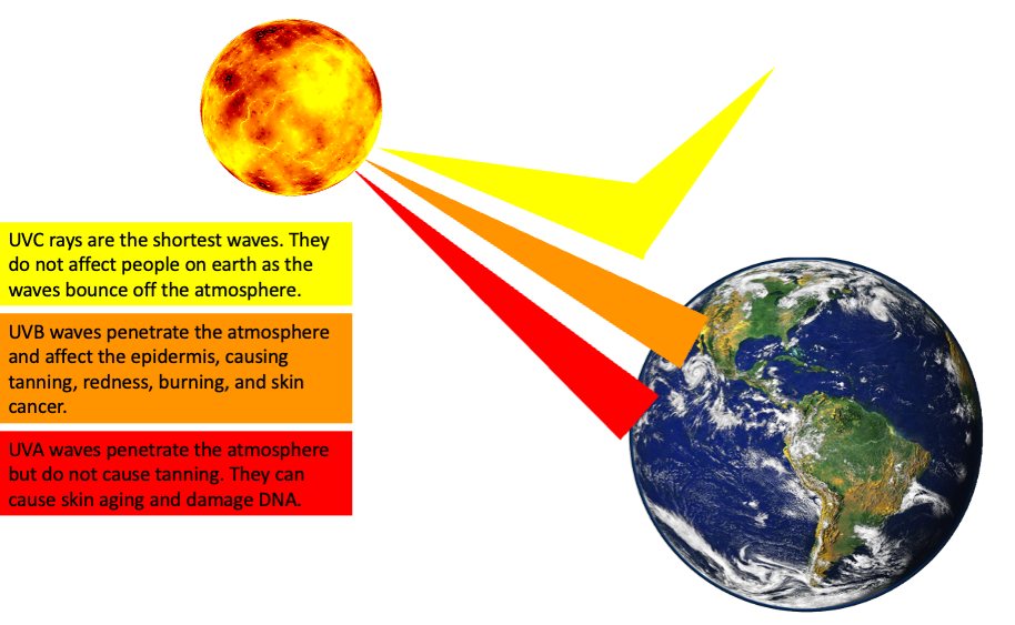 How Do Humans Differ? – Survey of Anthropology